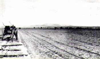 Pfade_und_ Autobahnen