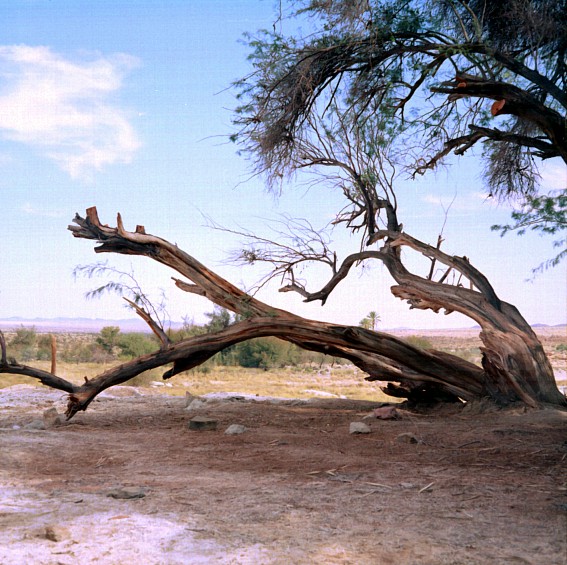 WARMBAD BECOMES TWO HUNDRED YEARS